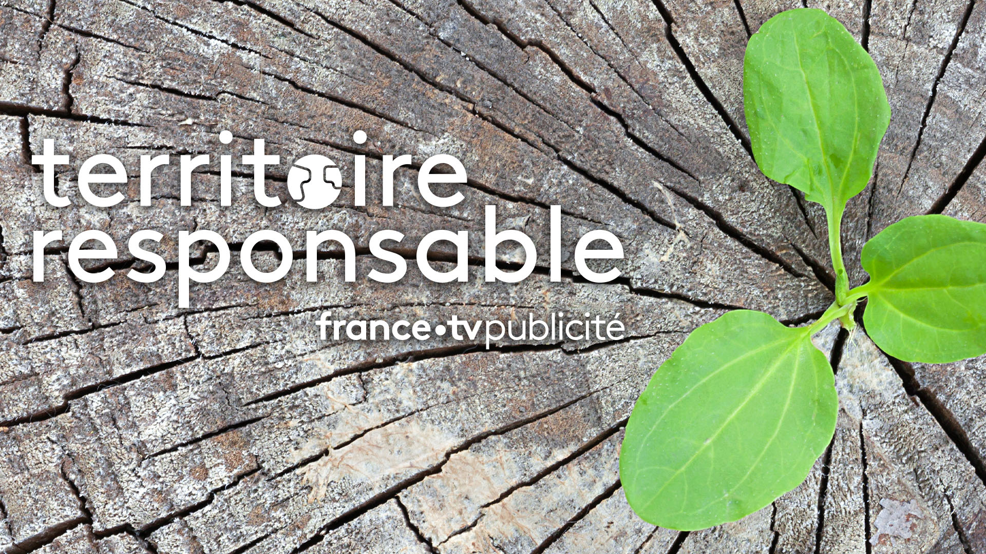 FranceTV Publicité creates a responsible territory for business ...
