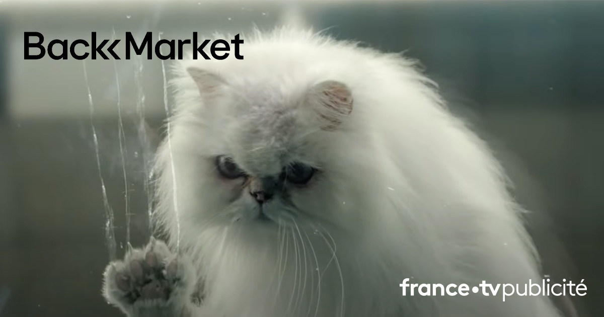 Back Market : il y a une vie après le neuf - France•TV Publicité